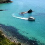 Phillip Island: 1-Hour Cape Woolamai Scenic Cruise - What Sets This Cruise Apart?