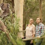 Phillip Island Day Trip from Melbourne with Penguin Plus Viewing Platform - Why This Tour Offers Great Value