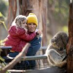 Phillip Island Penguin and Koala Highlights Day-Trip from Melbourne - What You Can Expect: The Practical Aspects