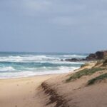 Phillip Island Penguin and wildlife Tour - Authentic Insights from Reviewers