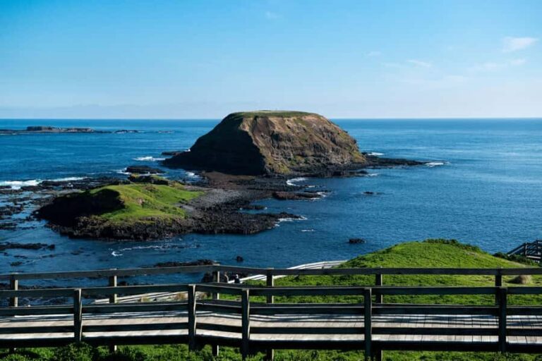 Phillip Island Penguin Direct Sunset Tour - Transport, Timing, and Overall Value