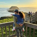 Phillip Island & Penguin Parade Afternoon Eco Tour from Melbourne - Transport & Group Size