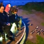 Phillip Island Penguin Parade Express Tour from Melbourne - Tips for Making the Most of Your Trip