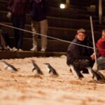 Phillip Island Penguin Parade, Wildlife and Beach Boxes Bus Tour - Exploring the Itinerary in Detail