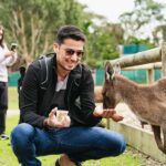 Phillip Island Penguin Parade with Expert Local Guide - Authentic Insights from Reviewers