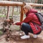 Phillip Island Penguins & Wildlife Day Tour from Melbourne - Why This Tour Offers Great Value