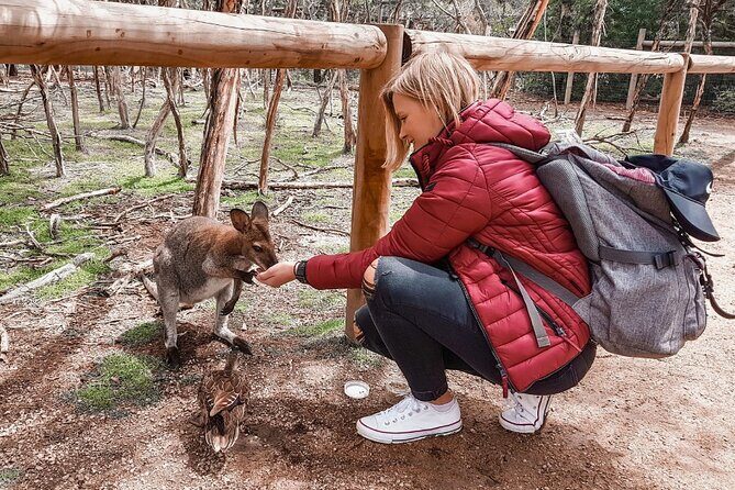 Phillip Island Penguins & Wildlife Day Tour from Melbourne - Why This Tour Offers Great Value