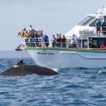 Phillip Island Whale Watching Tour - Final Thoughts: Is It Worth It?