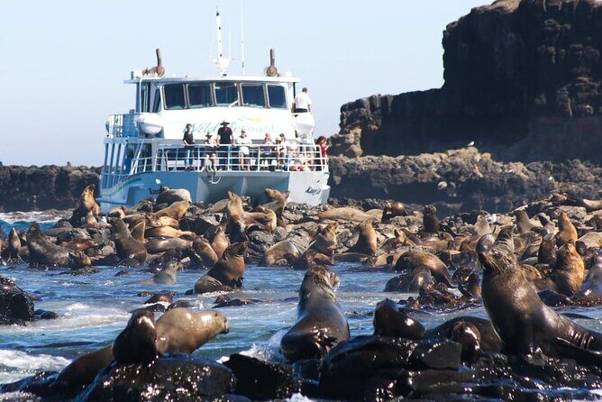 Phillip Island Wildlife Cruise and Penguin Tour from Melbourne - How the Tour Adds Value