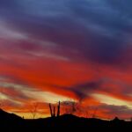 Phoenix: Amazing Two-Hour Guided Hike in the Sonoran Desert - Practical Details and Tips for Travelers