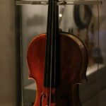 Phoenix Landmarks Tour Desert Botanical Garden - Practicalities and Value