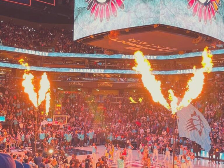 Phoenix: Phoenix Suns Basketball Game Ticket - The Seating and Viewing Experience