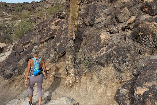Phoenix South Mountain Hiking Tour Experience - Who Will Love This Tour?