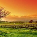 Phoenix Vortex to Vineyard Shared Tour - Frequently Asked Questions (FAQs)