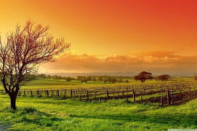 Phoenix Vortex to Vineyard Shared Tour - Frequently Asked Questions (FAQs)