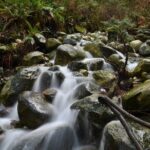 Photography & Advanced Hike to Turquois Lake & Glacier - Logistics and Practicalities