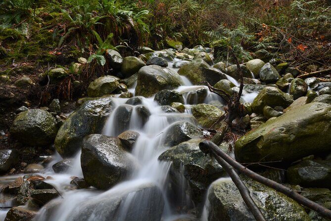 Photography & Advanced Hike to Turquois Lake & Glacier - Logistics and Practicalities