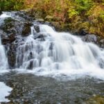 Photography, Hiking & Ferry to Bowen Island - Who Should Book This Tour?