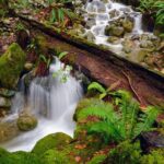 Photography & Intermediate Hiking - FAQ