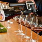 Picnic and Wine Tasting Experience in the Barossa Valley - Price and Value Analysis