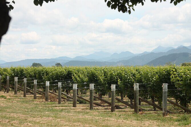 Picton & Blenheim Scenic Tour - Who Will Love This Tour?