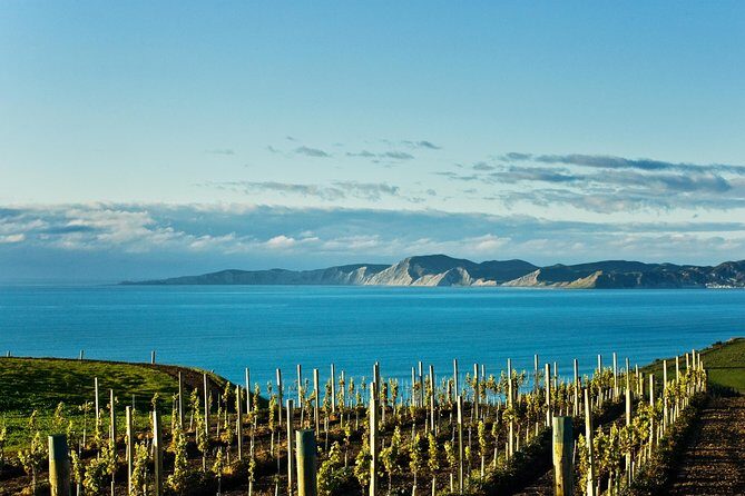 Picton Cruise Ship Shore Excursion Marlborough Wine Tour - FAQ
