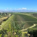 Picton: Private onshore cruise tour scenic, wine, gourmet - The Return and Final Views