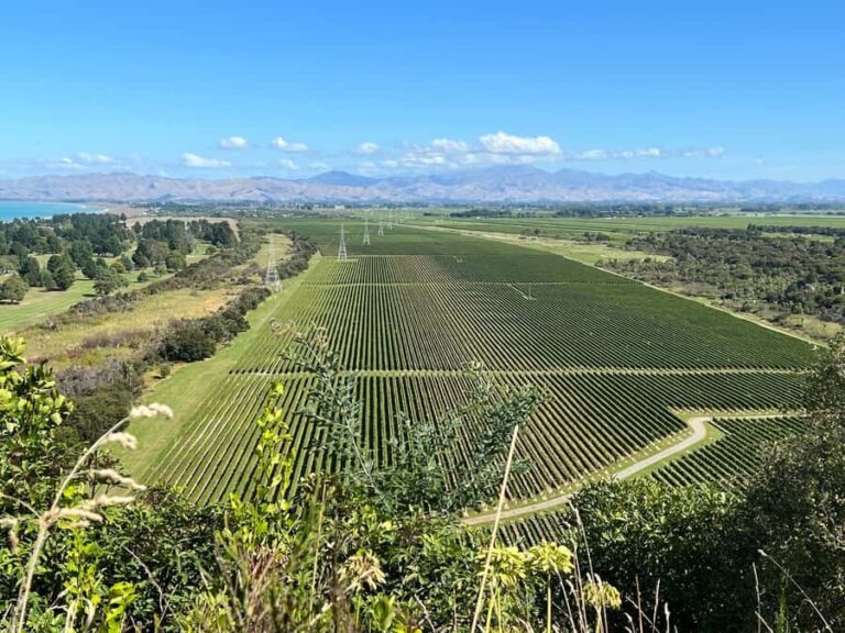 Picton: Private onshore cruise tour scenic, wine, gourmet - The Return and Final Views