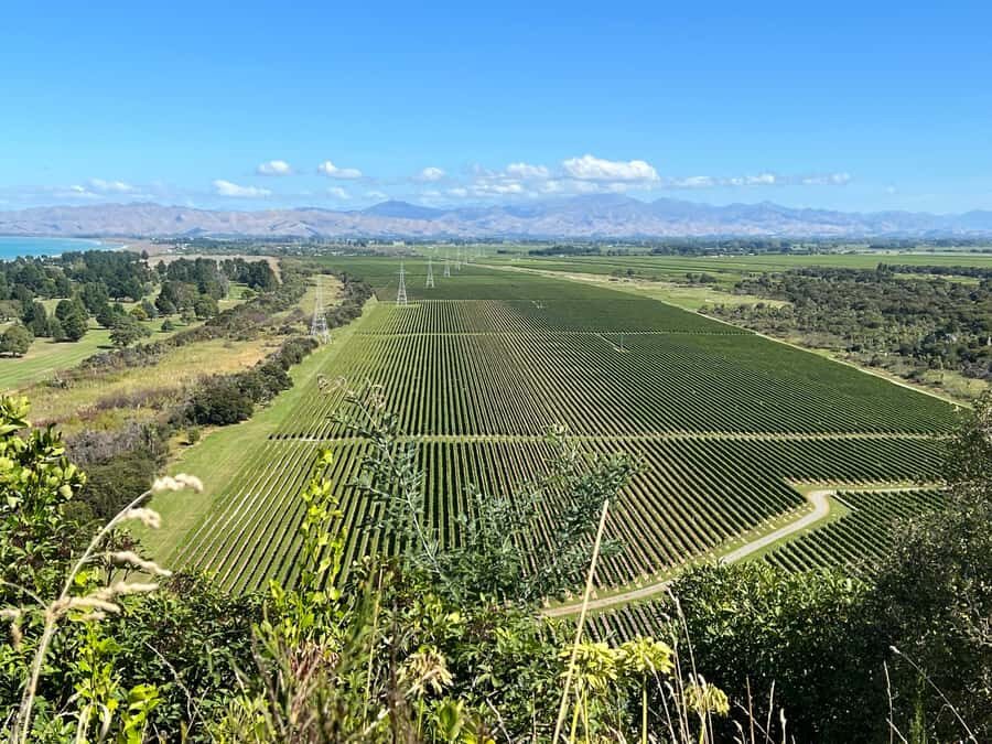 Picton: Private onshore cruise tour scenic, wine, gourmet - The Return and Final Views