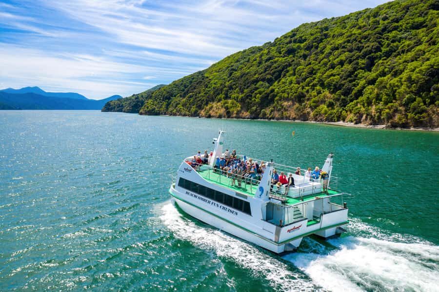 Picton Shore Excursion: Queen Charlotte Sounds Cruise - Why This Tour Works