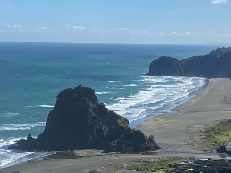 Piha & Karekare - Out of Auckland Private Tour - Scenic Walks and Rainforest Exploration