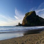 Piha Waitakere Rainforest Wine Tour from Auckland - The Value of This Tour