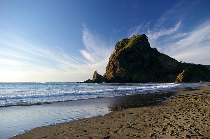 Piha Waitakere Rainforest Wine Tour from Auckland - The Value of This Tour