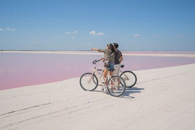 Pink Lake Lagoon and Rio Lagartos Tour from Cancun - Transportation and Logistics