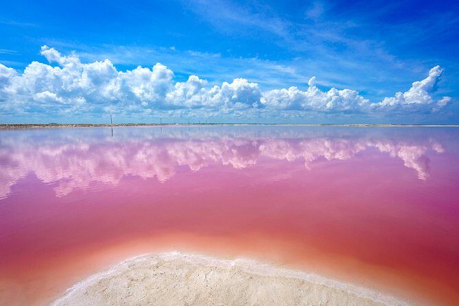 Pink Lake Las Coloradas + Rio Lagartos Reserve! Transportation from Cancun - Food and Extras