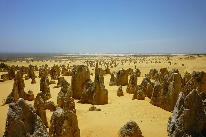 Pinnacles Desert Private Tour - Who Is This Tour Perfect For?