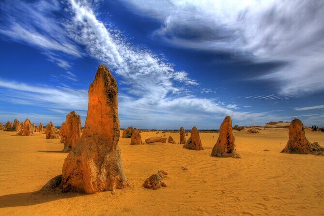 Pinnacles Desert, Yanchep and Swan Valley with Lunch - Who Will Love This Tour?