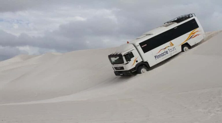 Pinnacles, Koalas & Sandboarding Tour Day Trip from Perth - Value and Practical Insights