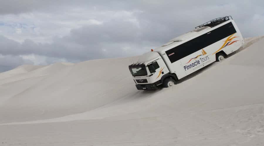 Pinnacles, Koalas & Sandboarding Tour Day Trip from Perth - Value and Practical Insights