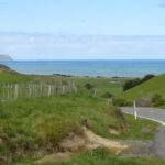 "Pinot to Palliser tour" - Guided tour to Cape Palliser vith lunch + winetasting - Deep Dive into the Experience