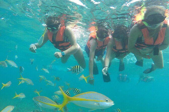 Platinum Catamaran, Drinks, Party and Beach Club! From Cancun - What Travelers Are Saying and What to Expect