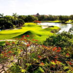 Play Iberostar Cancun Golf Course W/Clubs - The Sum Up
