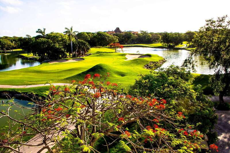 Play Iberostar Cancun Golf Course W/Clubs - The Sum Up