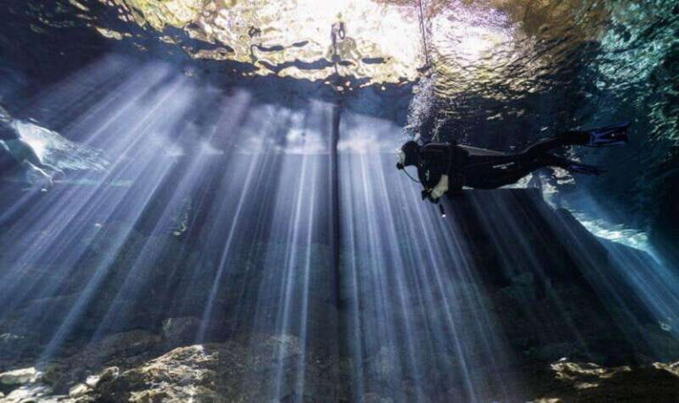 Playa del Carmen: Diving at Cenote Dos Ojos - Itinerary Breakdown