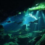 Playa del Carmen: Explore the Surreal World of Cenote Diving - The Itinerary: What to Expect from Start to Finish