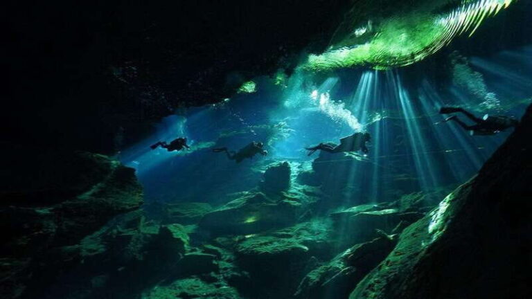 Playa del Carmen: Explore the Surreal World of Cenote Diving - The Itinerary: What to Expect from Start to Finish