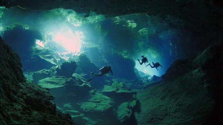 Playa del Carmen: High-Octane Cenote Diving Combo - Why This Tour Offers Great Value