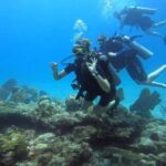 Playa del Carmen: Introductory Scuba Diving at Coral Reefs - Practical Details and What’s Included