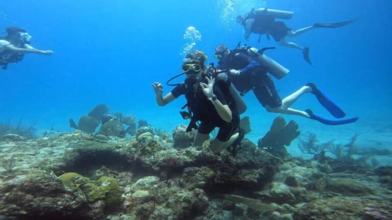 Playa del Carmen: Introductory Scuba Diving at Coral Reefs - Practical Details and What’s Included