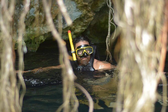 Playa del Carmen Jungle Tour: Tulum, Cenote Snorkeling, Ziplining and Lunch - Who Should Consider This Tour?